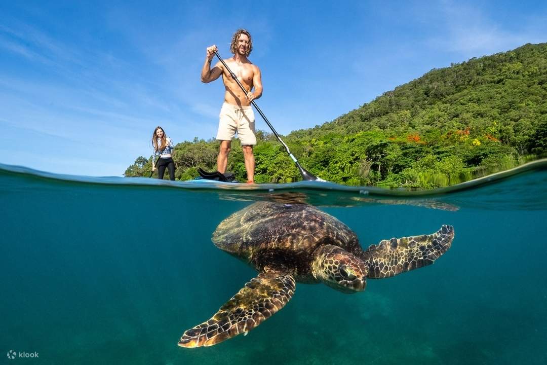 Paddle Board & Kayak on the Great Barrier Reef at Fitzroy Island ...