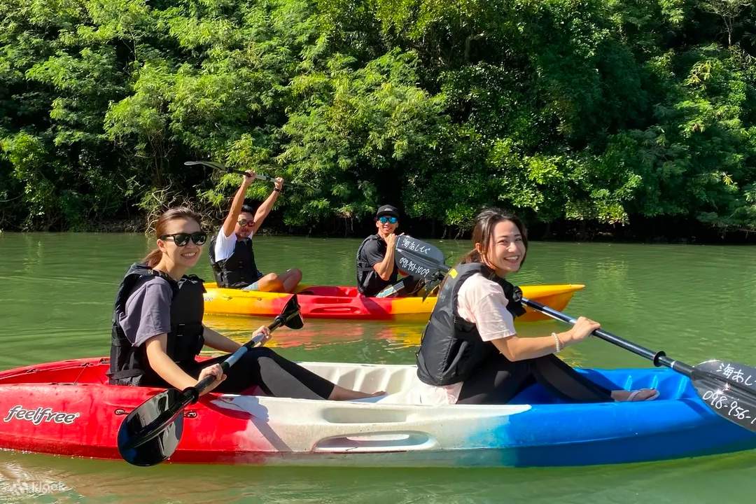 Mangrove Kayak tour in Okinawa - Klook United States