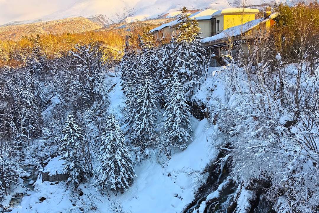 [Hokkaido Summer Hot Spots] Patchwork Road Seven Star Tree & Shikisai ...