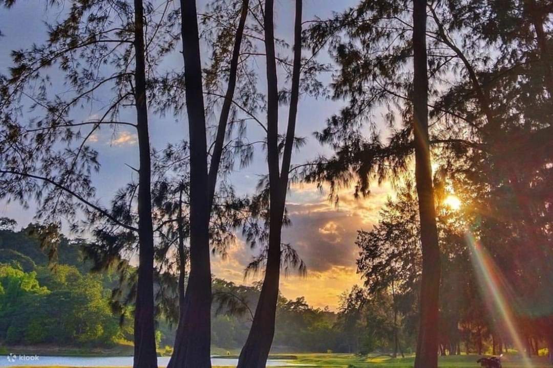 2D1N Lake Mapanuepe Singles Tour - Klook Philippines