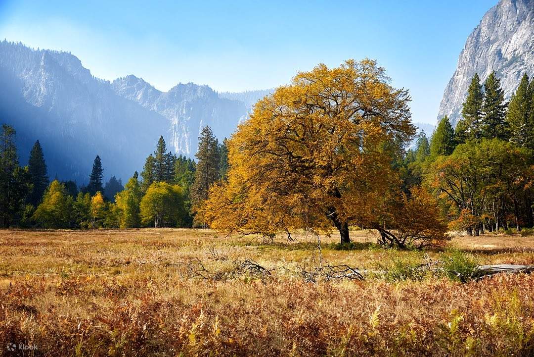 day-tour-yosemite-ticket - Klook
