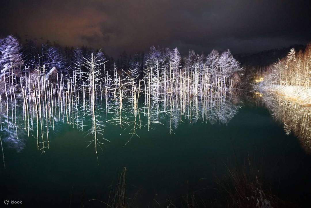 Hokkaido | Biei Winter Blue Pond & Shirasuga Falls Illumination Day ...