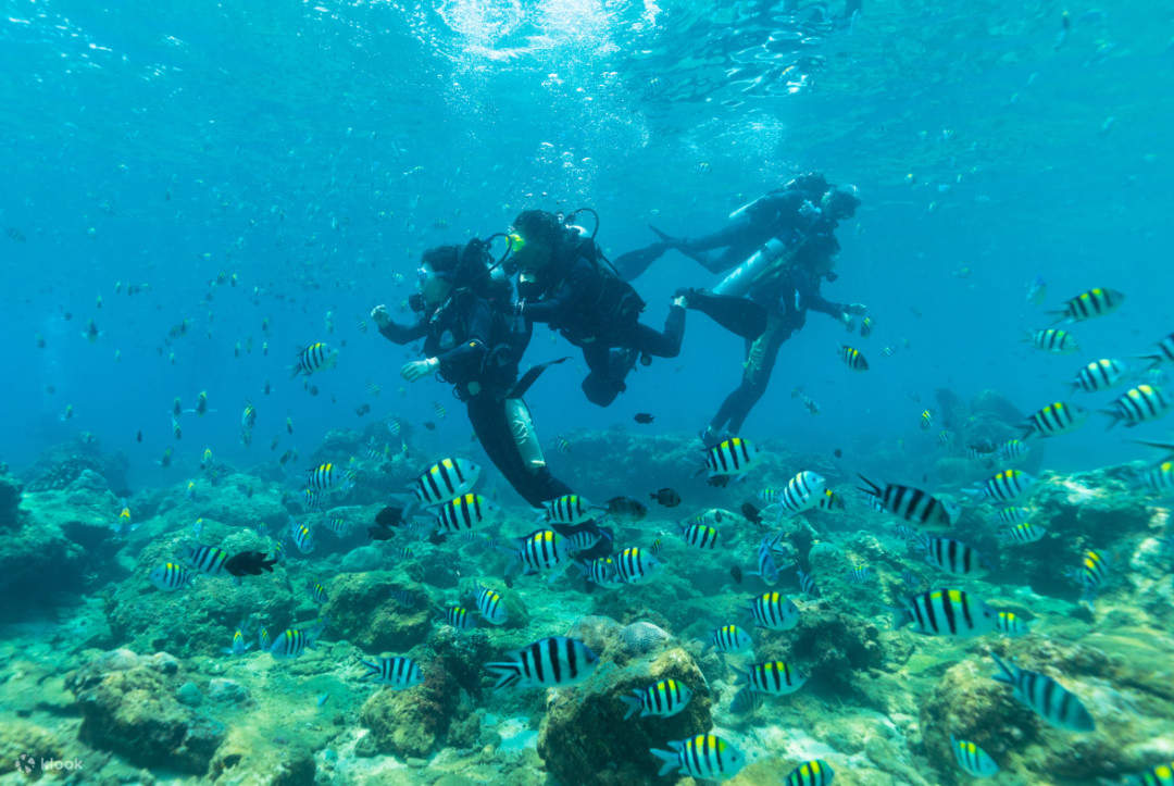 Private Tour to Hainan Sanya Boundary Island + Underwater Palace Diving ...