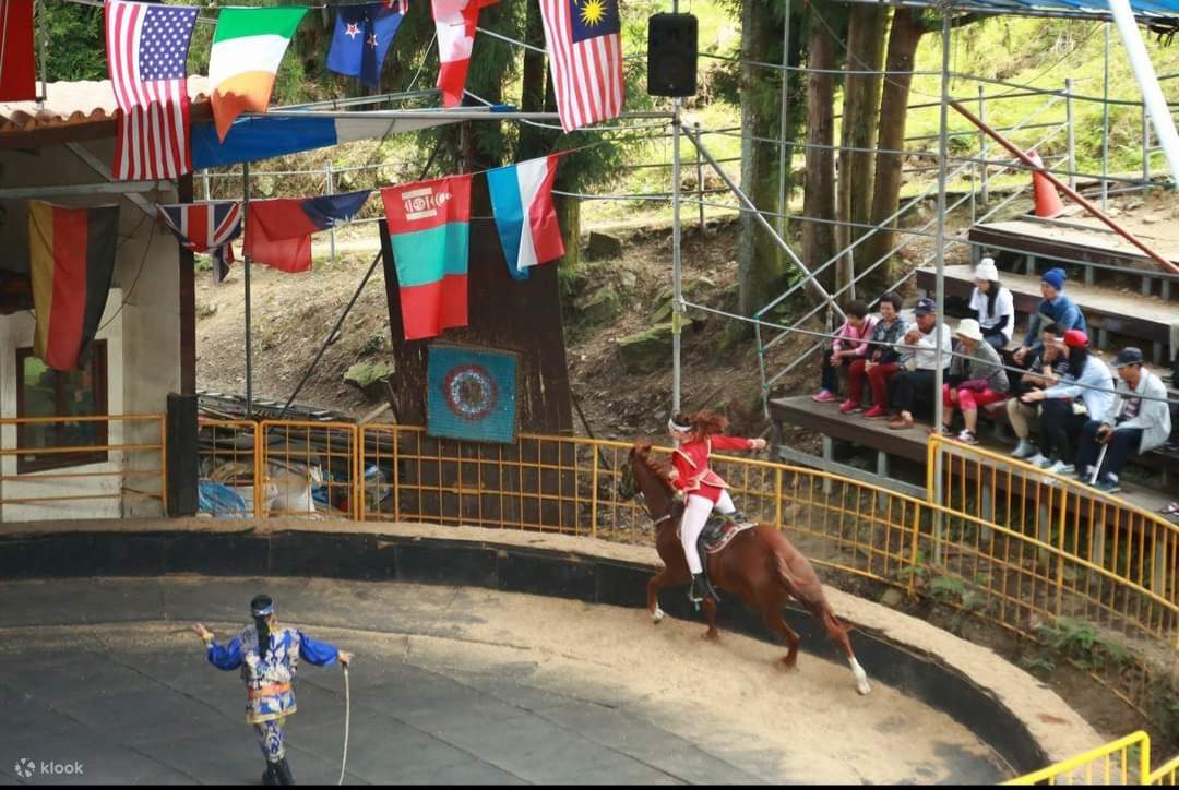 Taichung Gaomei Wetland & Cingjing Farm Day Tour - Klook