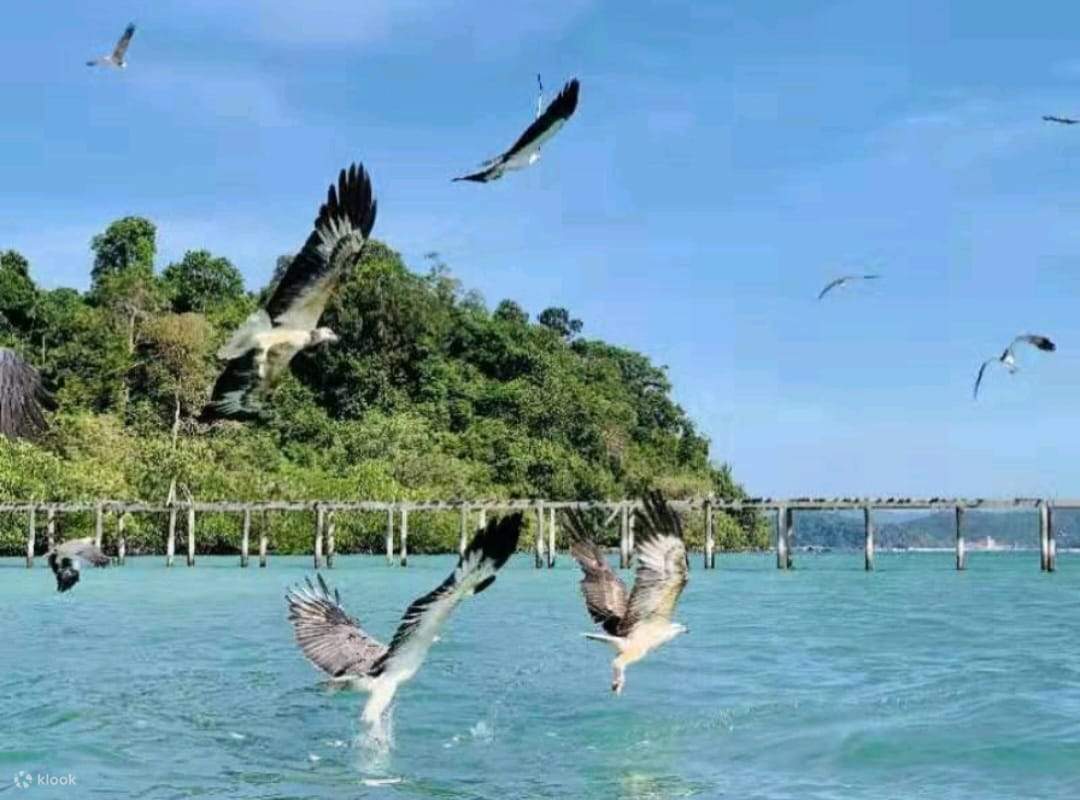Discover the Best of Langkawi: Island Hopping Grand Tour - Klook India