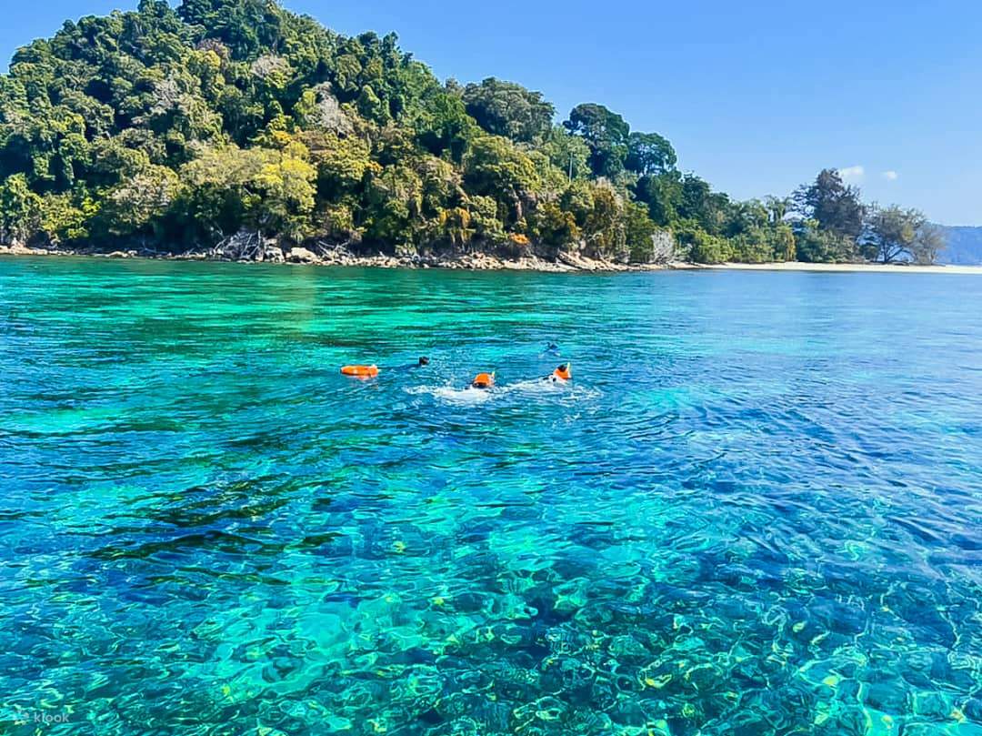 Tur Perahu Snorkeling Kota Kinabalu di Sabah - Klook Indonesia
