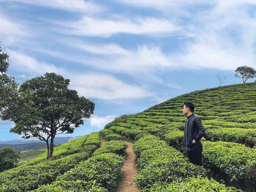 Da Lat Day Tour: Discovering New Tourist Attractions - Klook