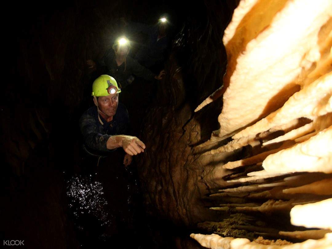 Raglan Rock Caving Pioneer Tour - Klook Australia
