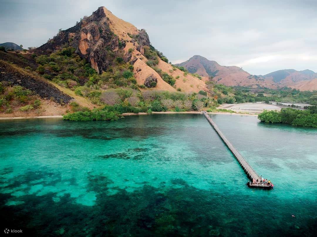 Lawatan Bot Laju Setengah Hari Komodo dari Labuan Bajo - Klook Amerika ...