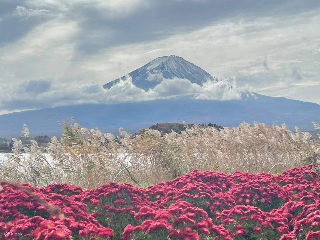 A Private Day Tour of Lake Yamanaka & Lake Kawaguchi + Shimoyoshida ...