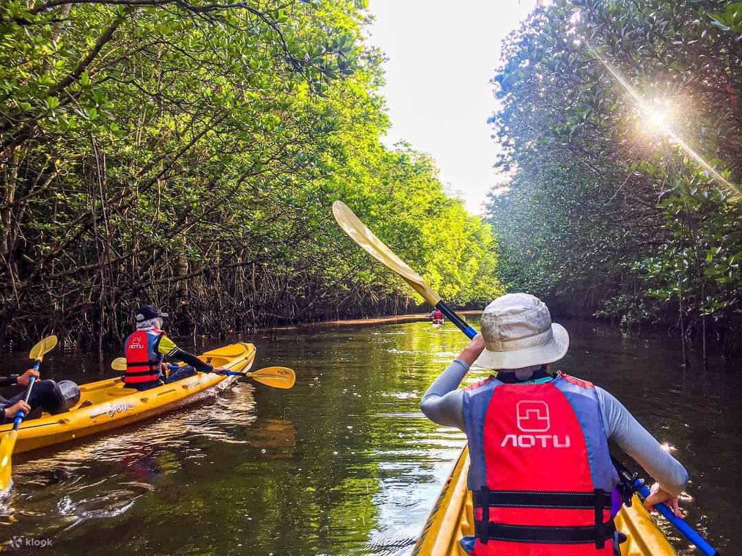 Mangrove Kayaking Serusup Tuaran Sunset and Sunrise Tour - Klook United ...