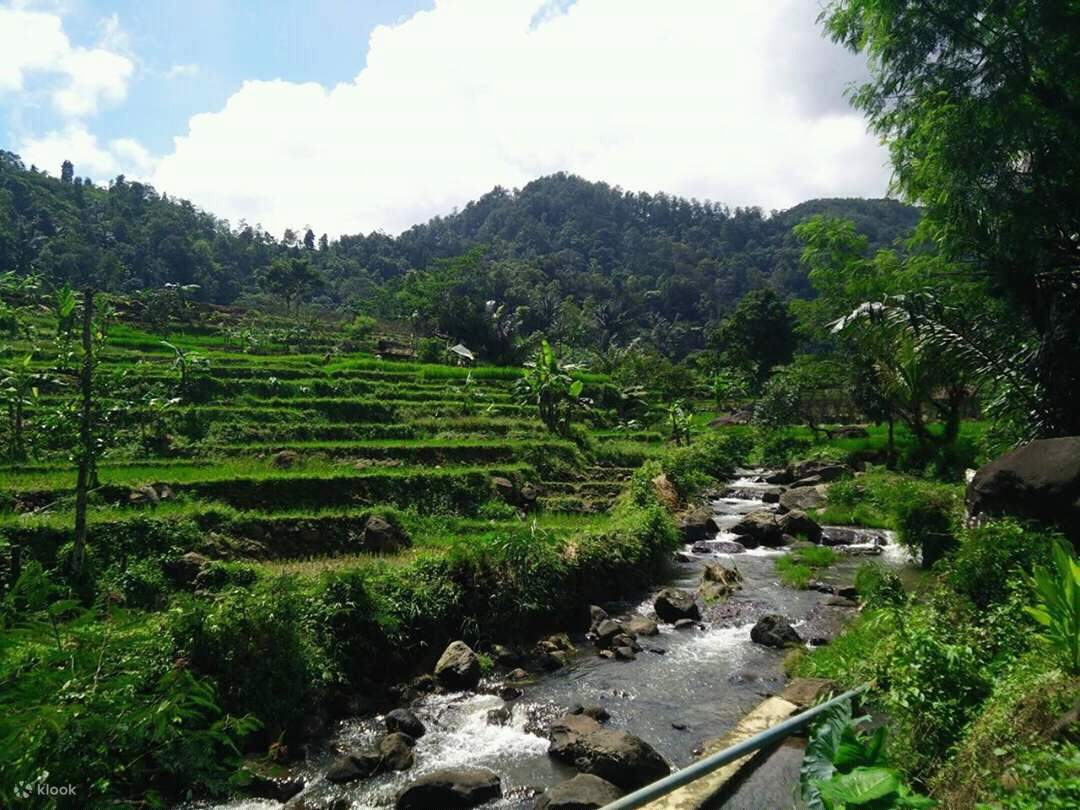 Curug Cibareubeuy And Hot Spring Trekking Tour from Bandung - Klook ...