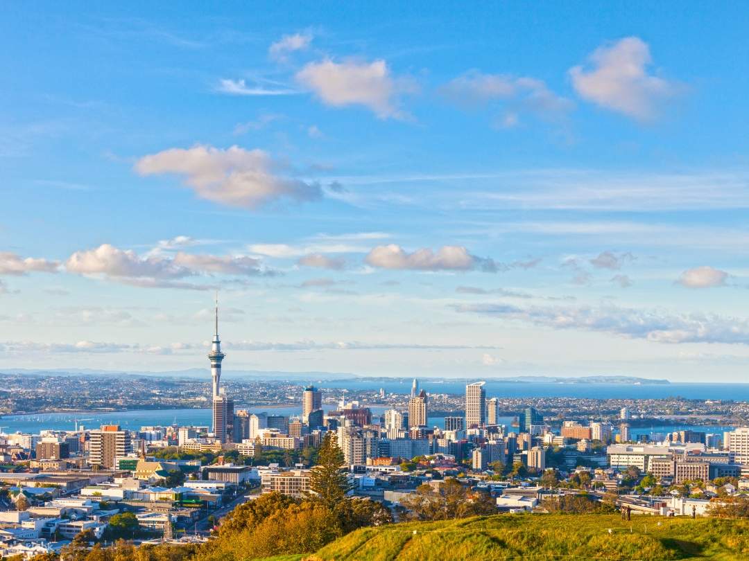 Sheep Shearing and Auckland City Experience with Lunch - Klook Estados ...