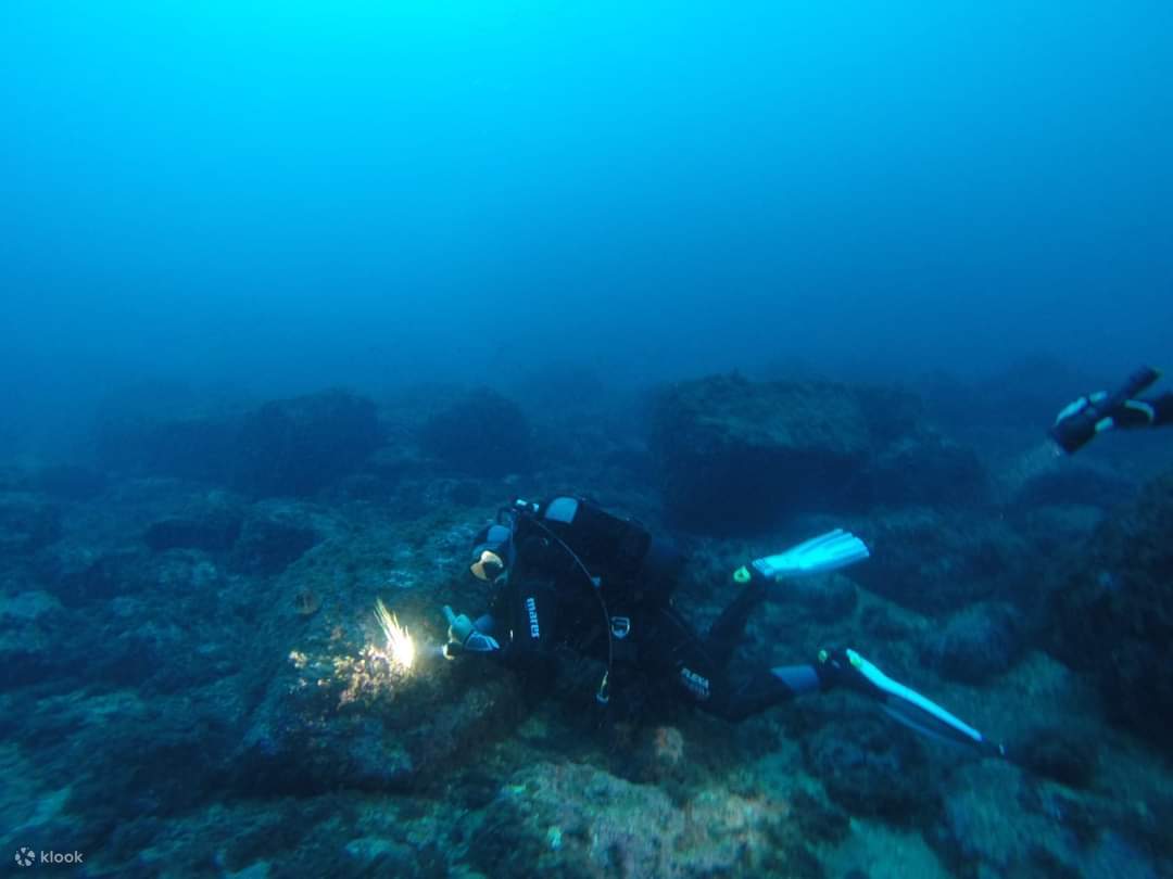 SSI Try Scuba Diving in Torre Annunziata with Sirene Boat Diving - Klook
