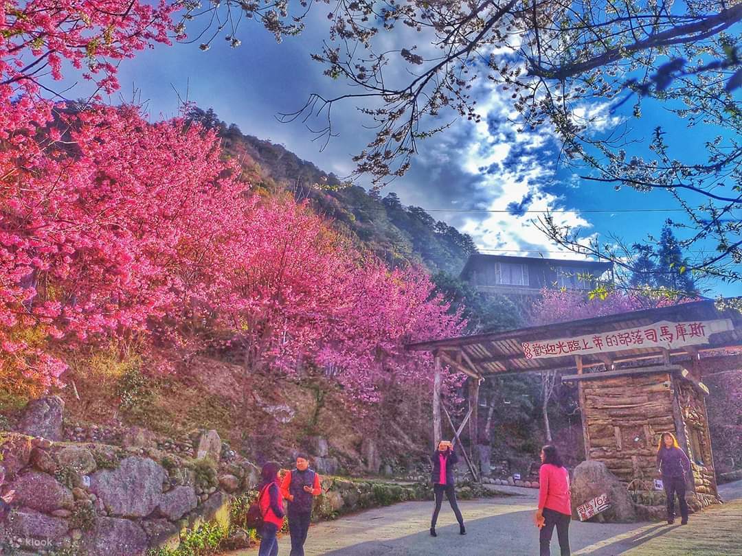[God's Tribe] Hsinchu Sima Kusi & Zhenxibao Shenmu Group 2 days 1 night ...