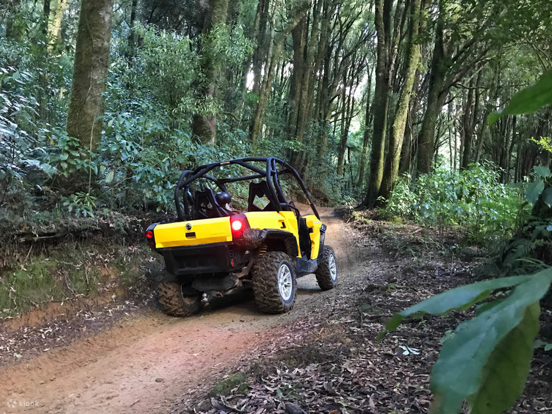 Rotorua 4wd Buggy Tour in New Zealand - Klook