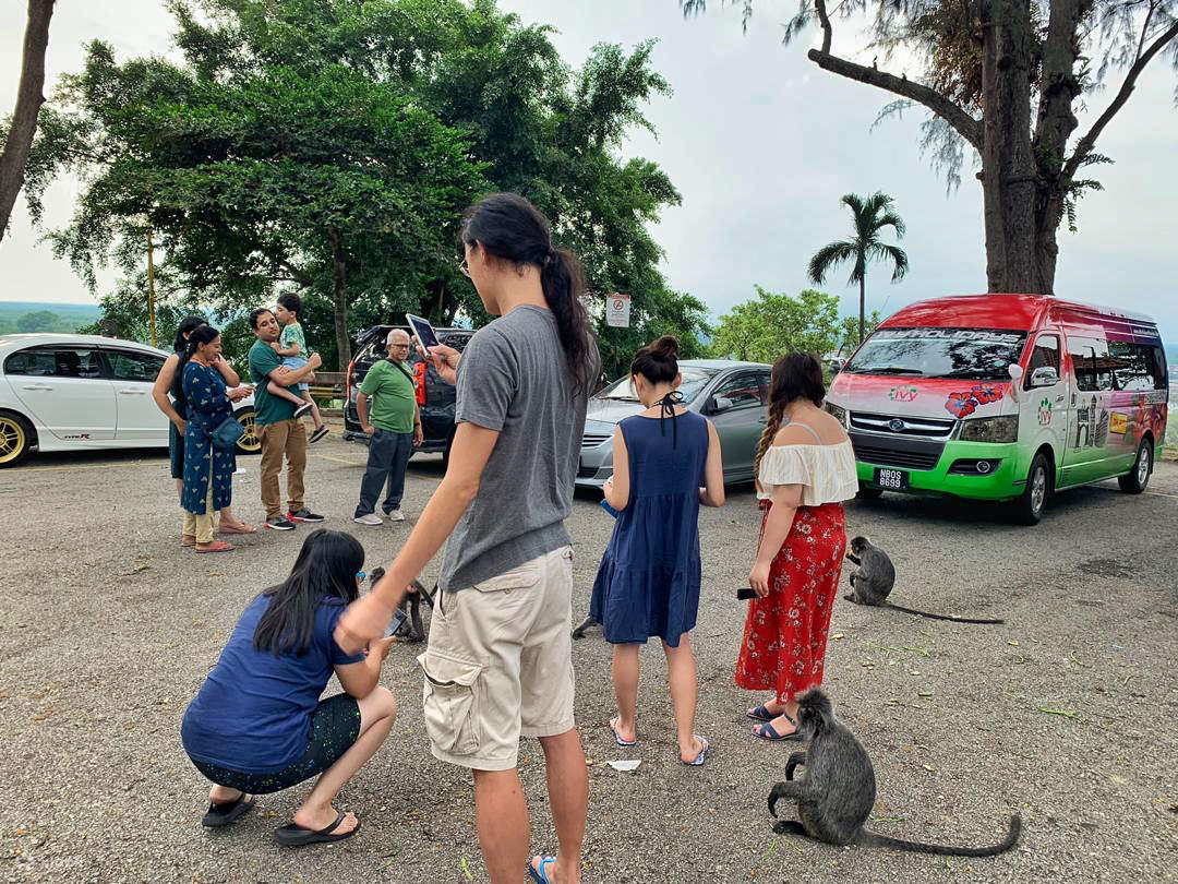 Fireflies Night Tour with Seafood Dinner and Boat Ride - Klook Singapore