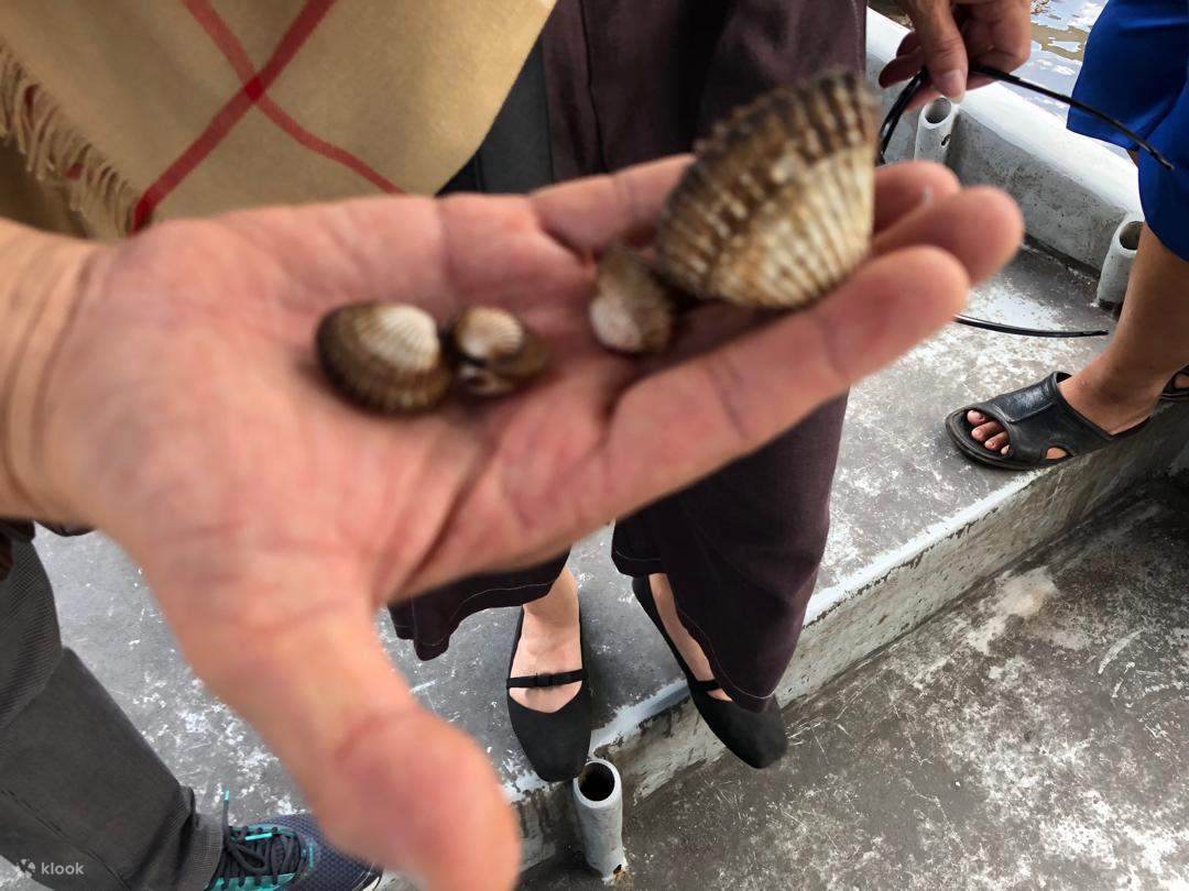 【Depart from Penang】Sepang Ecological Tour, Taiping Ancient City Tour ...