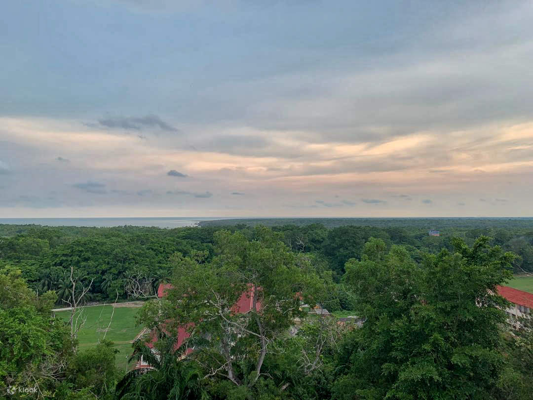 Fireflies Night Tour with Seafood Dinner and Boat Ride - Klook Singapore