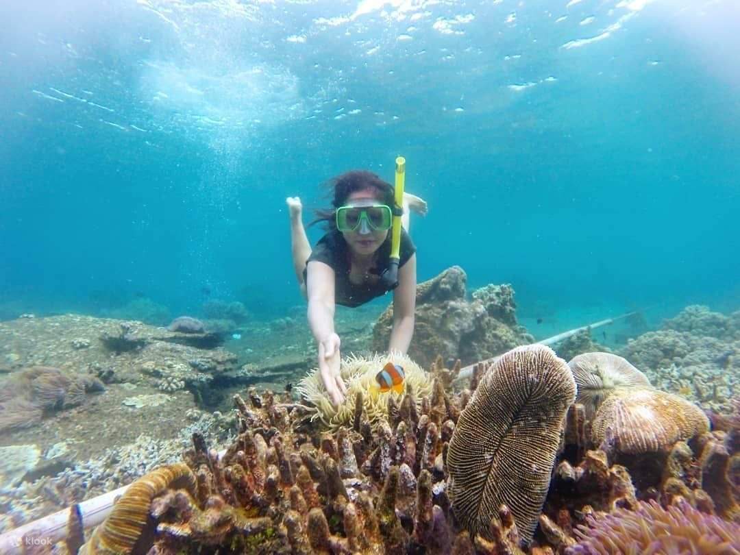 Tabuhan Island, Baluran National Park, Bama Beach Tour in Banyuwangi ...