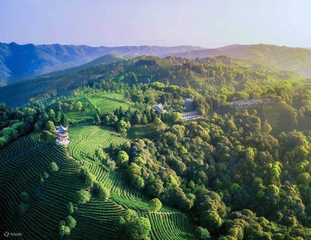 Anxi Tea Culture Private Day Tour from Xiamen with your choice of ...