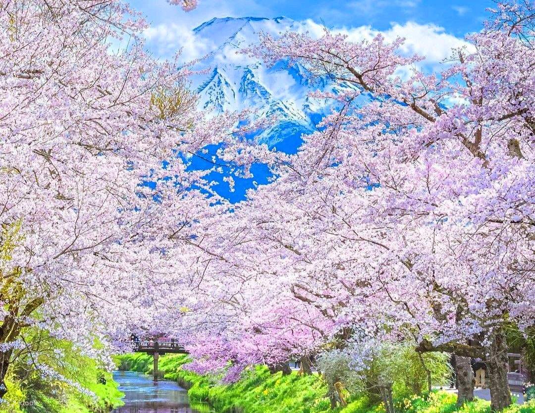 Mount Fuji Hakone Day Trip | Includes Hotel Pick-up Service | Online ...
