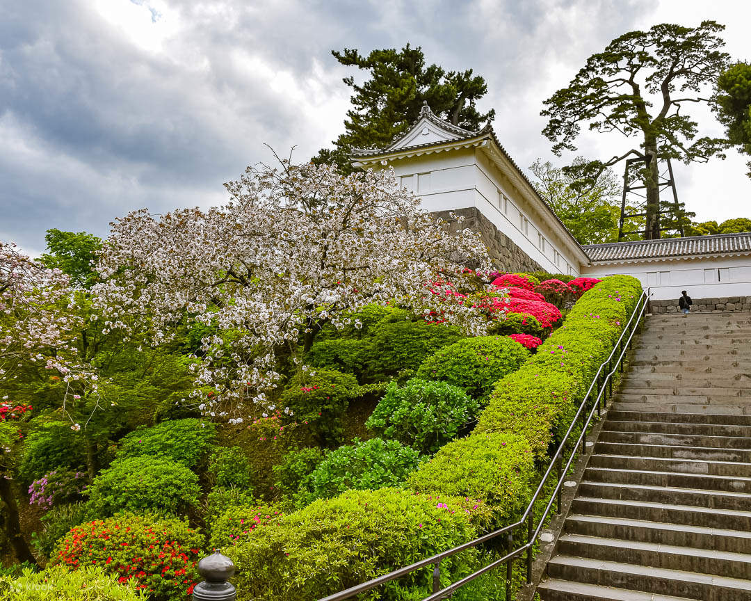 Odawara Castle Town Food Tour and Geisha Kaiseki Dinner - Klook United ...
