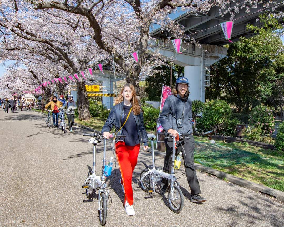 Backstreets Bike Tour and Tokyo Asakusa Join In Half Day Bike Tour ...