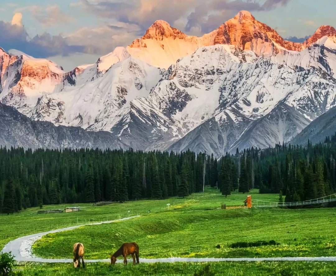 Xinjiang Yili Private 6 Days (Sailimu Lake Sailing Experience + Xiata ...