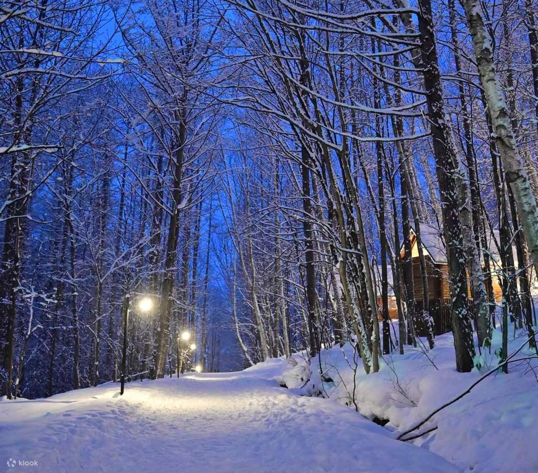 Illumination Tour: Furano Elf Terrace, Biei Blue Pond & Shirahige Falls ...