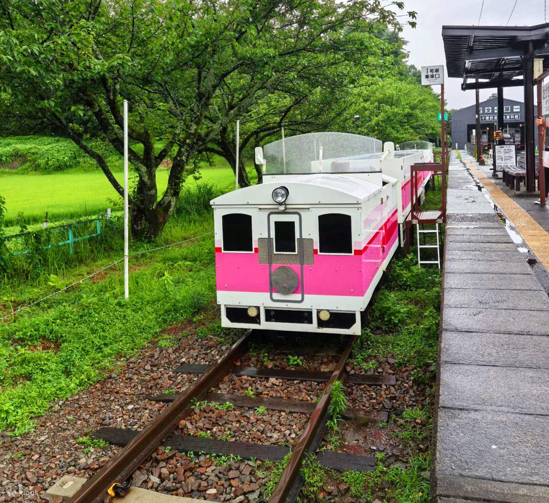 Fukuoka Takachiho Gorge & Gorge Railway and Ama no Iwato Shrine Full ...