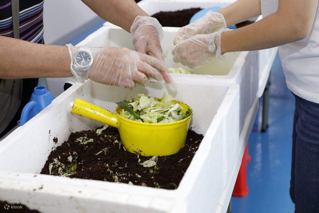 Learn about zero food waste and ensure food sustainability with Zero to ...
