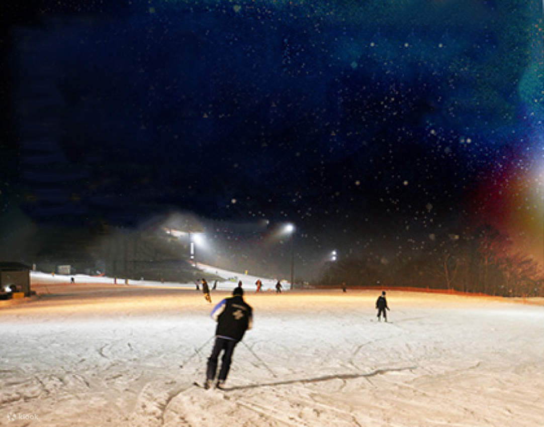 Mount Fuji 2nd Station Yeti Ski Resort & Nikki Hot Spring Skiing One-Day Tour丨Online Reservation ...