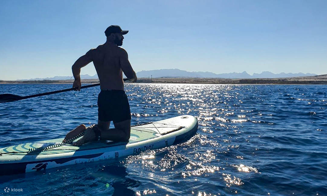 Explore Hurghada's Waters with Stand Up Paddling (SUP) Experience ...