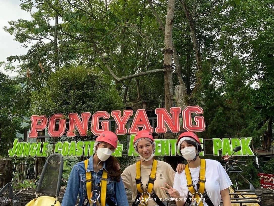 One Day Tour Mae kampong, Mon Jam, Doi Inthanon - Klook