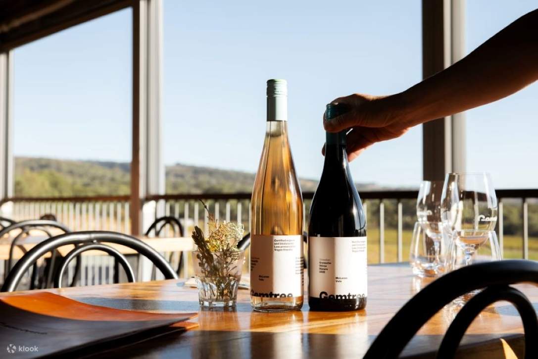 Vines and Victor Eco Adventure Tour - Klook Australia