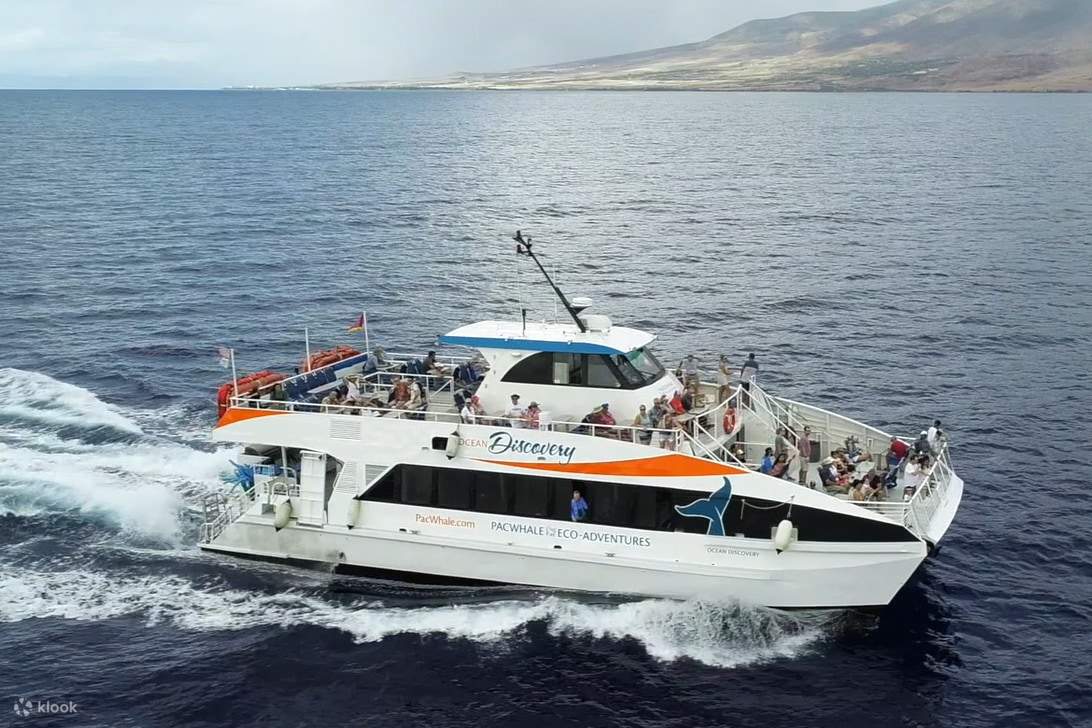 Sunset Dinner & Whale Watch Cruise in Maui - Klook Philippines