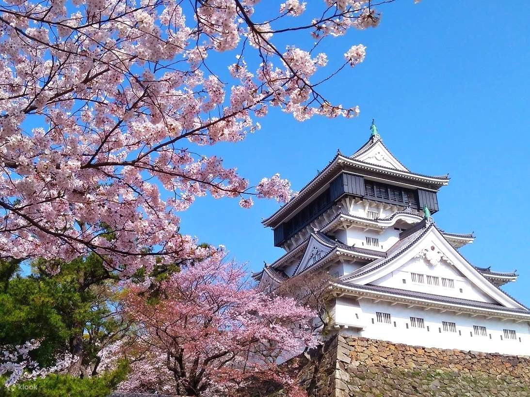 [Kyushu Spring Flower Viewing Season] Kitakyushu Mojiko, Kawachi Fuji ...