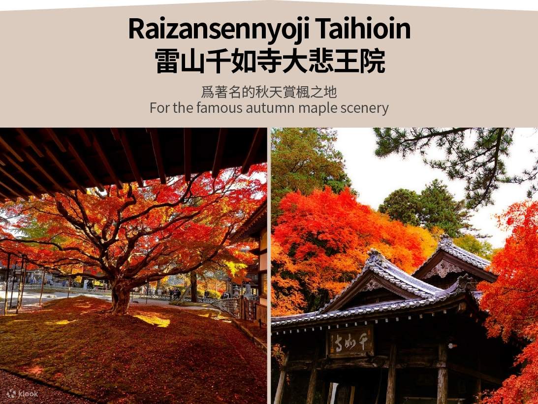 [Kyushu｜Itoshima] Shiraito Falls & Raizan Senjoji Temple & Ichiran ...