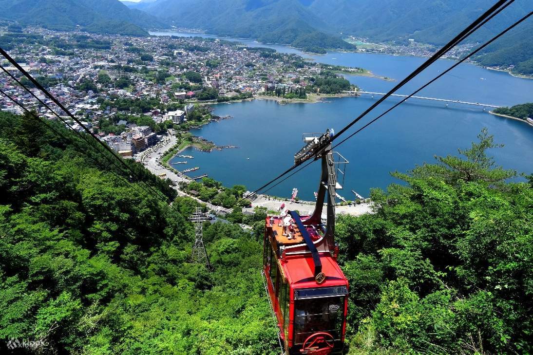 Mount Fuji Popular Photo Spot & Flower Viewing Day Trip | Lake ...