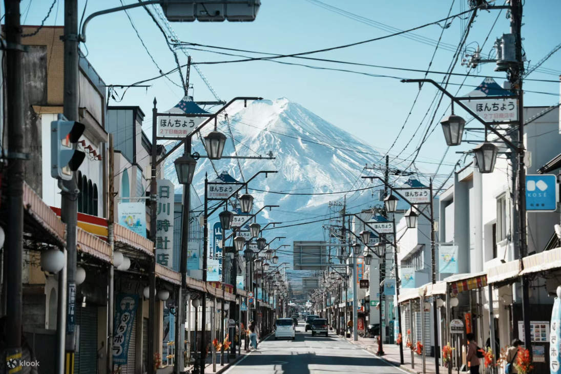 One-day tour to Majino Ranch & Arakurayama Sengen Park & Hikawa ...