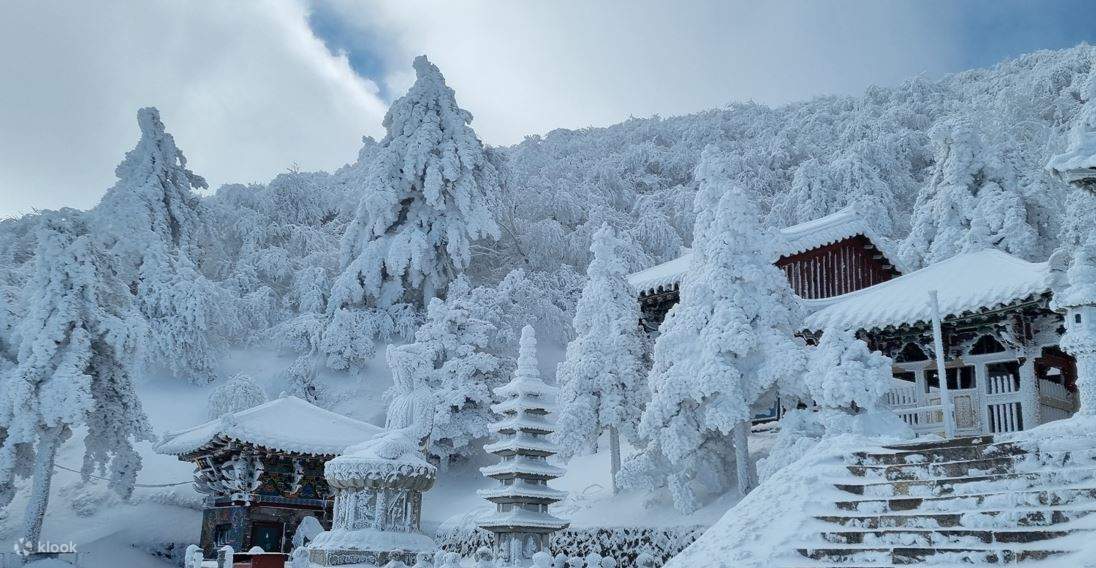 Taebaeksan Mountain Snow Festival & Hwangji Pond Train Tour - Klook ...