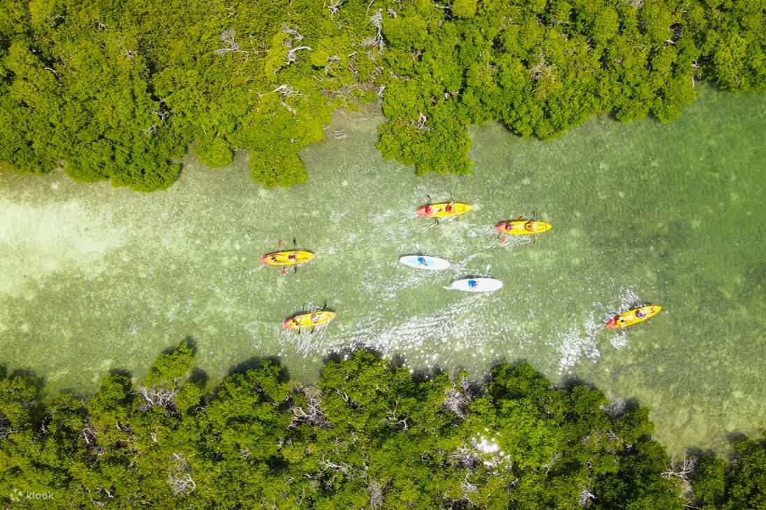 Sandbar Excursion & Kayak Tour with Lunch & Drinks in Key West - Klook ...