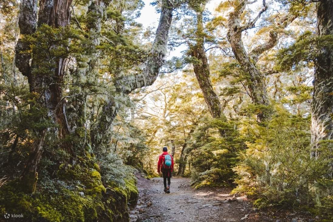 Kepler Track Day Walk by Water Taxi - Klook Australia