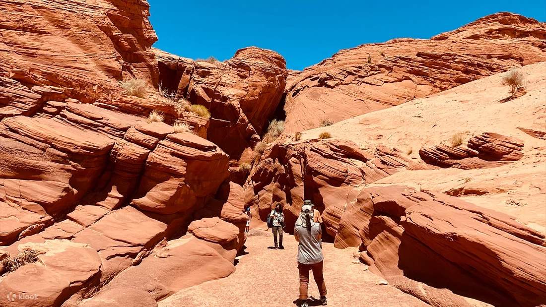 Upper And Lower Antelope Canyon With Horseshoe Bend Hiking Tour in Page ...