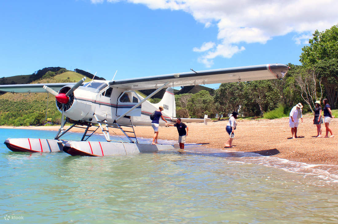 Auckland Seaplane Flight Experience - Klook Estados Unidos