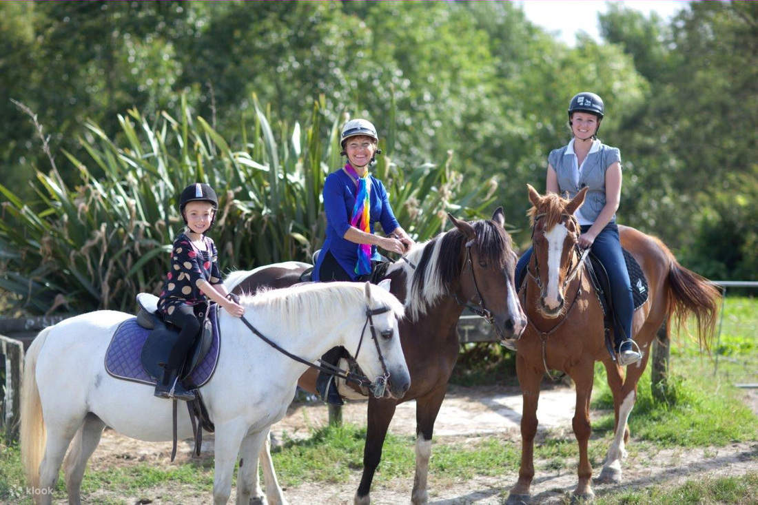 Esperienza di arte ed equitazione Matakana ad Auckland - Klook Stati Uniti