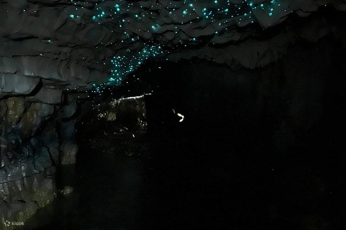 Excursión en grupo reducido a Waitomo Glowworm y Cave Explorer desde ...
