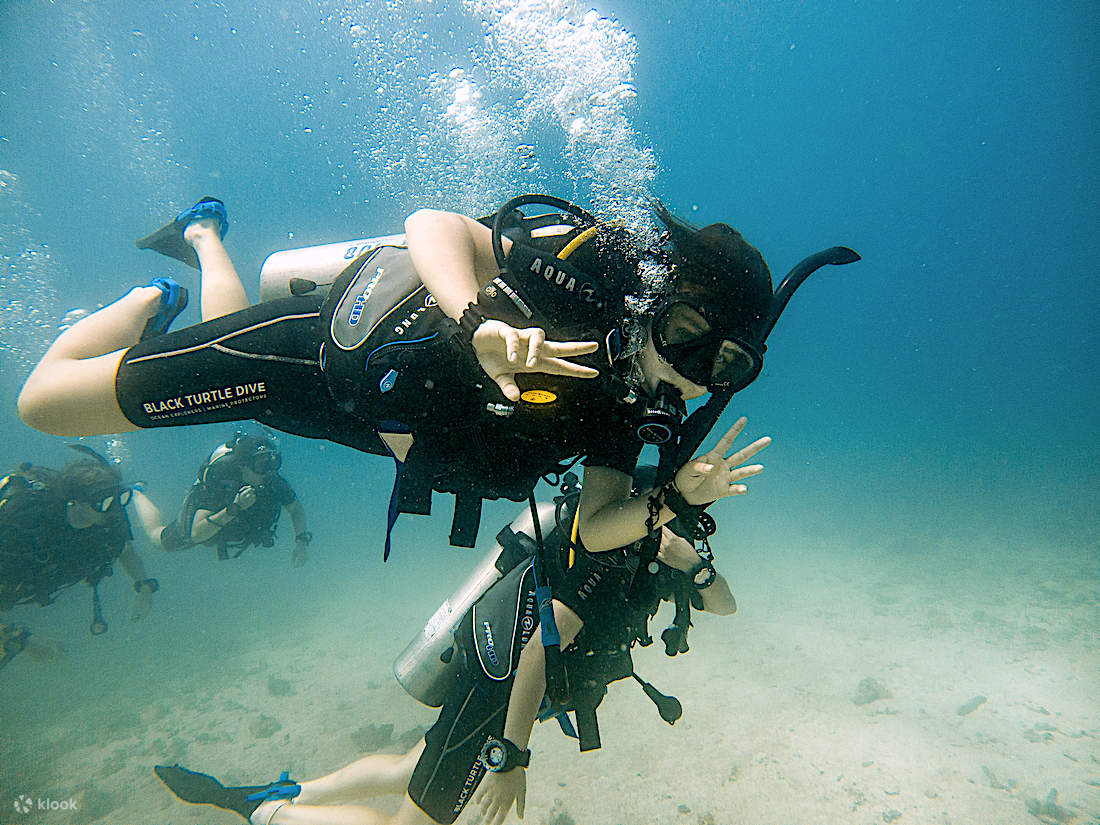 Padi 5스타 Cdc와 함께 꼬따오에서 Padi 오픈워터 다이버를 배우세요 클룩 Klook 한국