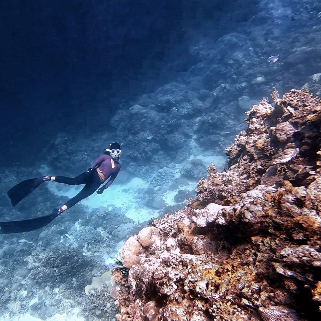 1Day EL Nido Freediving Tour with Intro Lessons and Boat Dives - Klook ...